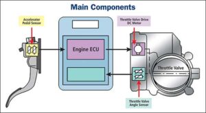What is an Accelerator Pedal Position Sensor - Vicorv Technology
